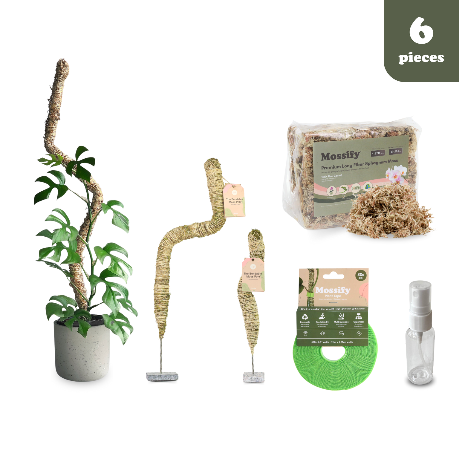 Multi-award winning indoor garden accessories. — Mossify