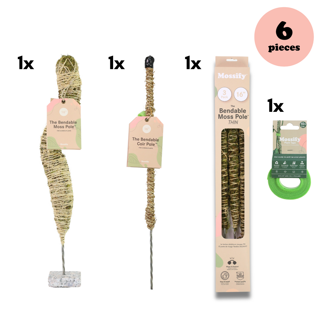 Multi-award winning indoor garden accessories. — Mossify