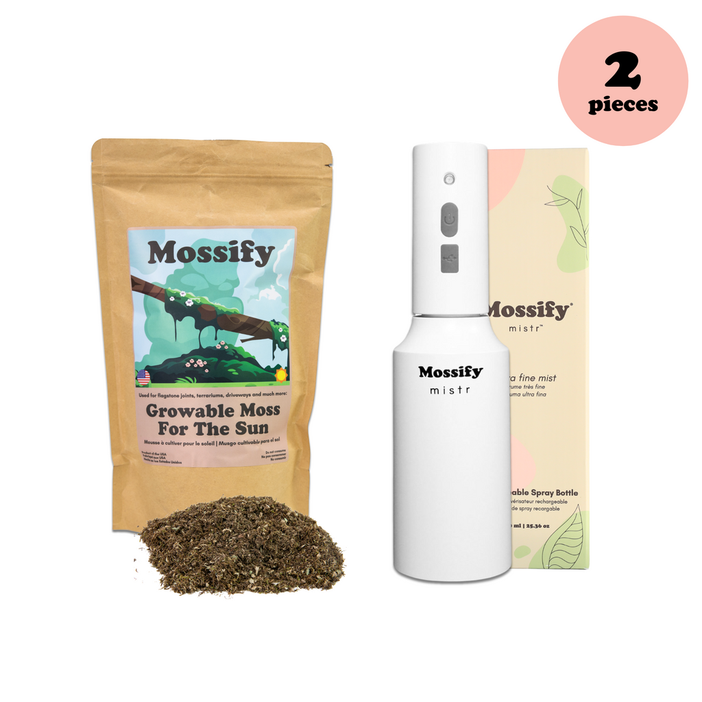 Accessories — Mossify