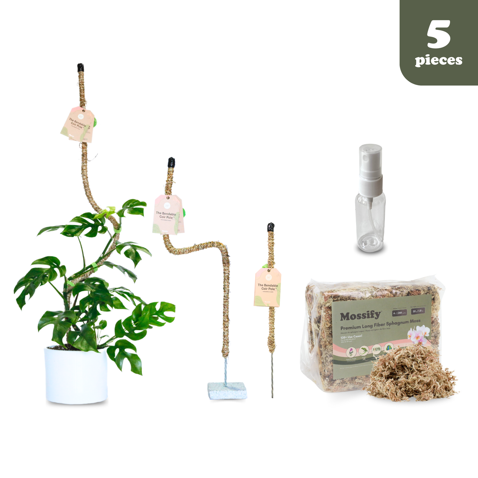 Multi-award winning indoor garden accessories. — Mossify