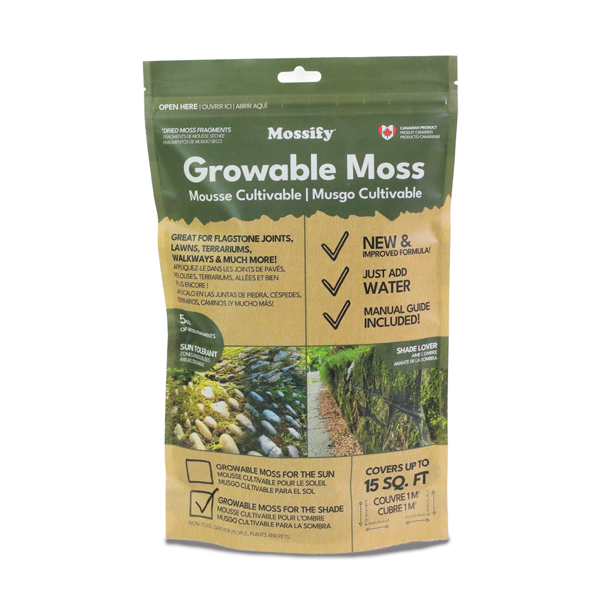 Native Boreal Mix Growable Moss for the Shade — Mossify