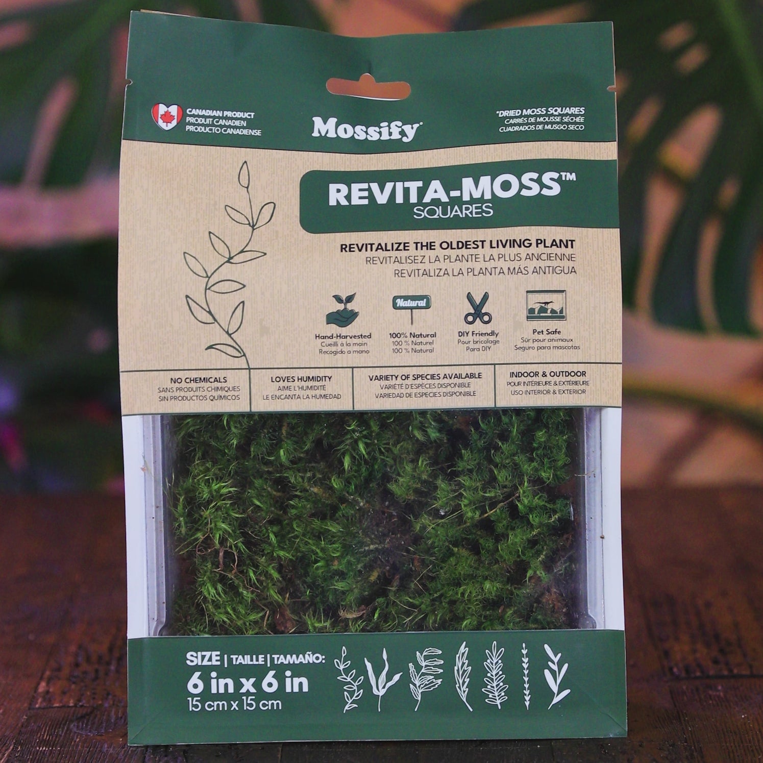Live Moss — Mossify