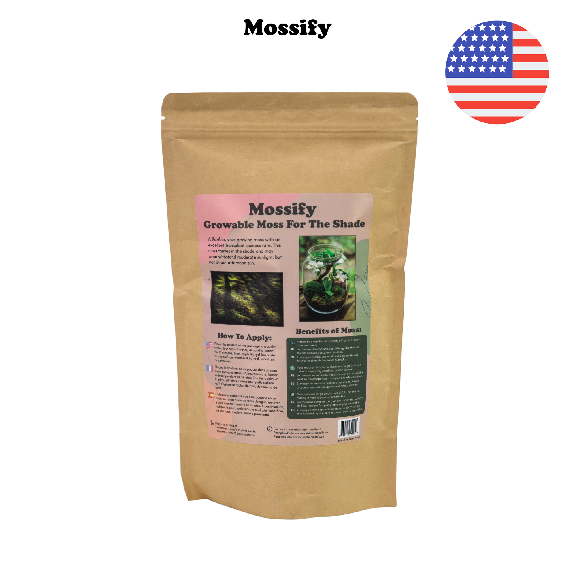 Growable Moss for the Shade — Mossify