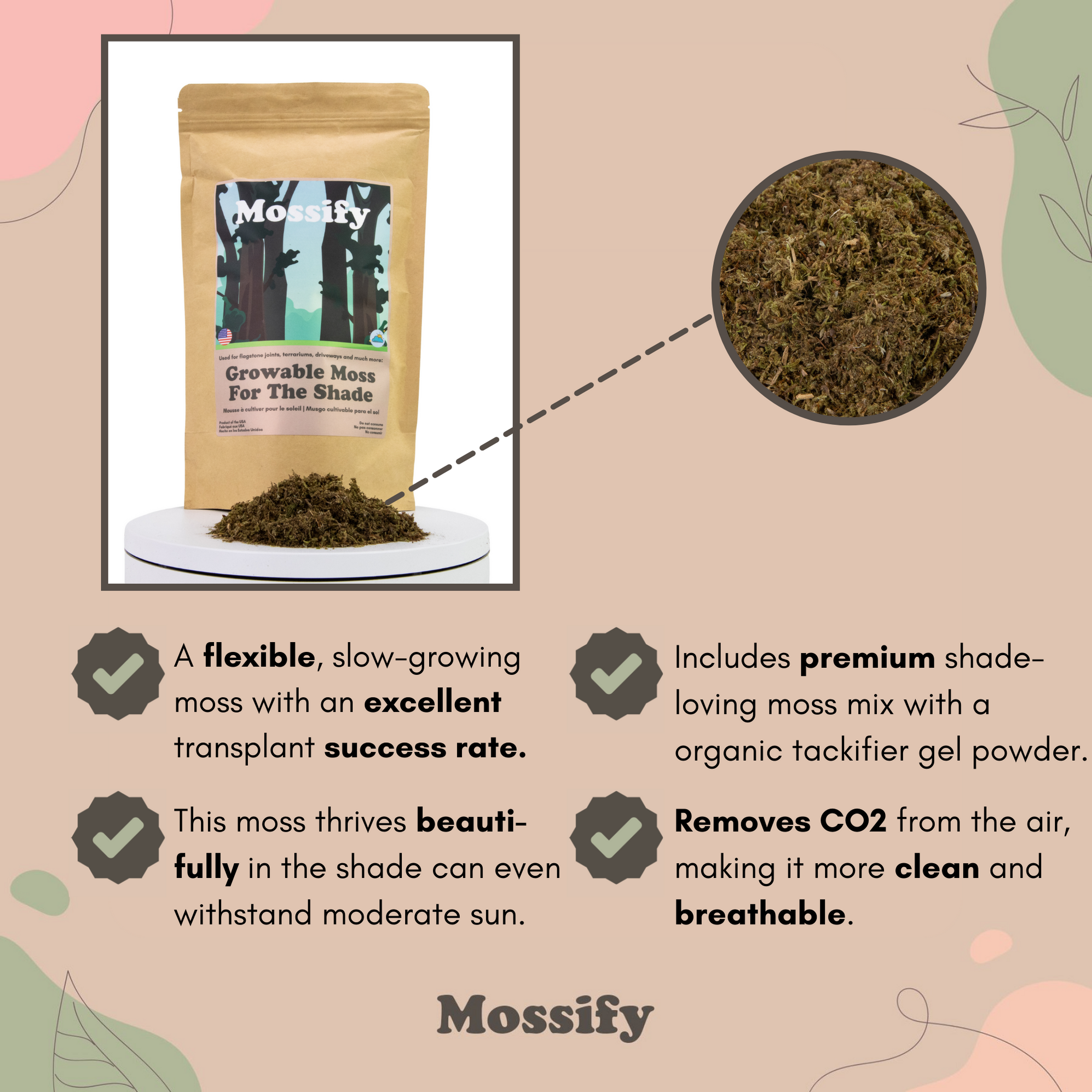 Growable Moss for the Shade — Mossify