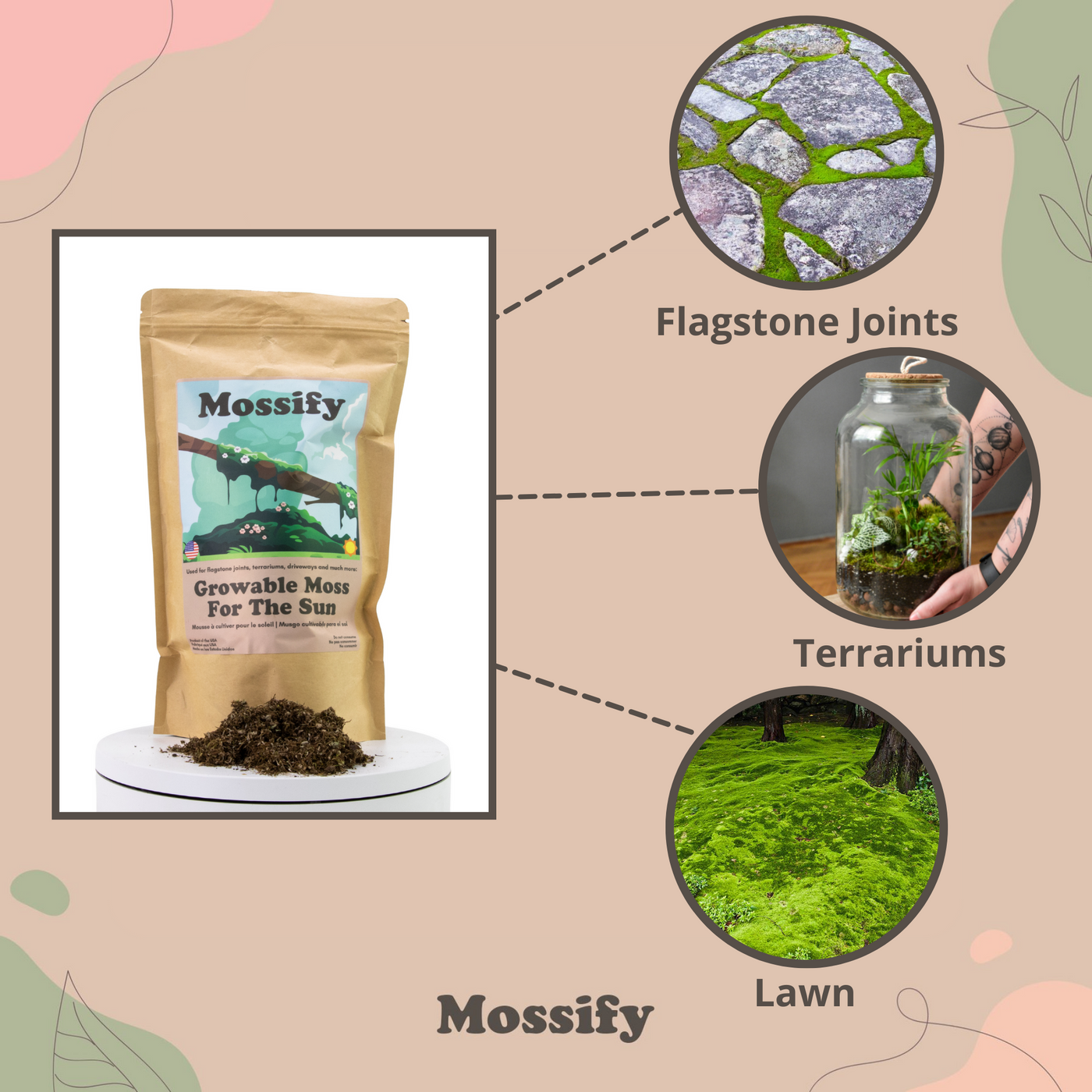 Growable Moss for the Sun — Mossify